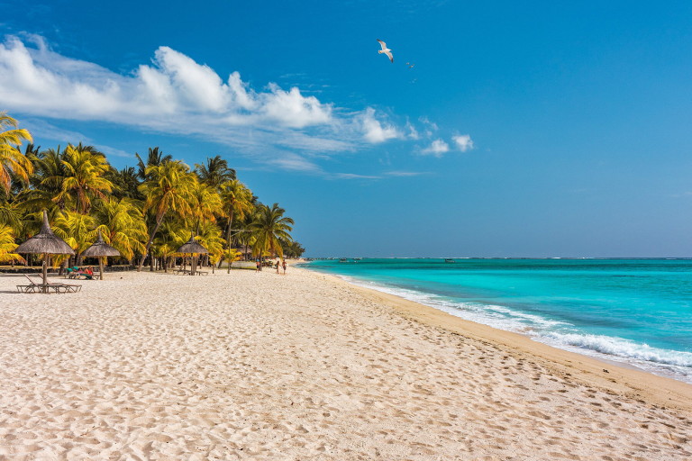 The 7 Best Scuba Diving Sites In The Philippines | Enjoy Travel