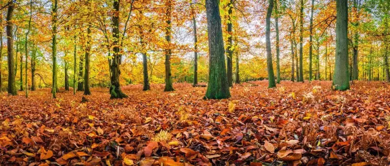 10 epic road trips from Nottingham | Enjoy Travel