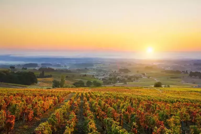 7 Of The Best Wine Countries In Europe | Enjoy Travel