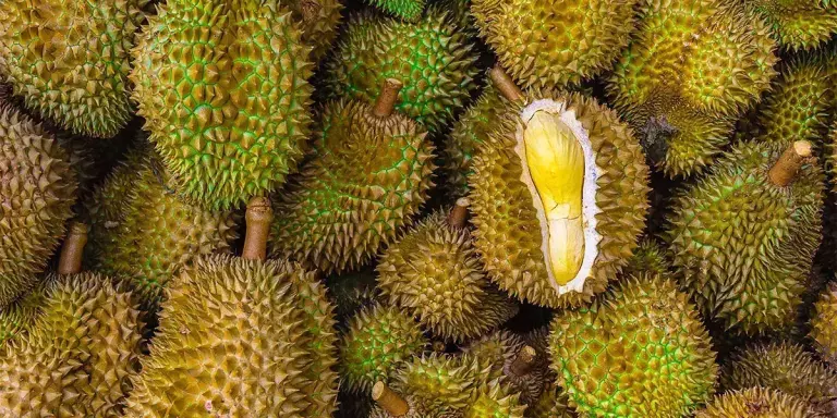 Stinkiest Fruit In The World