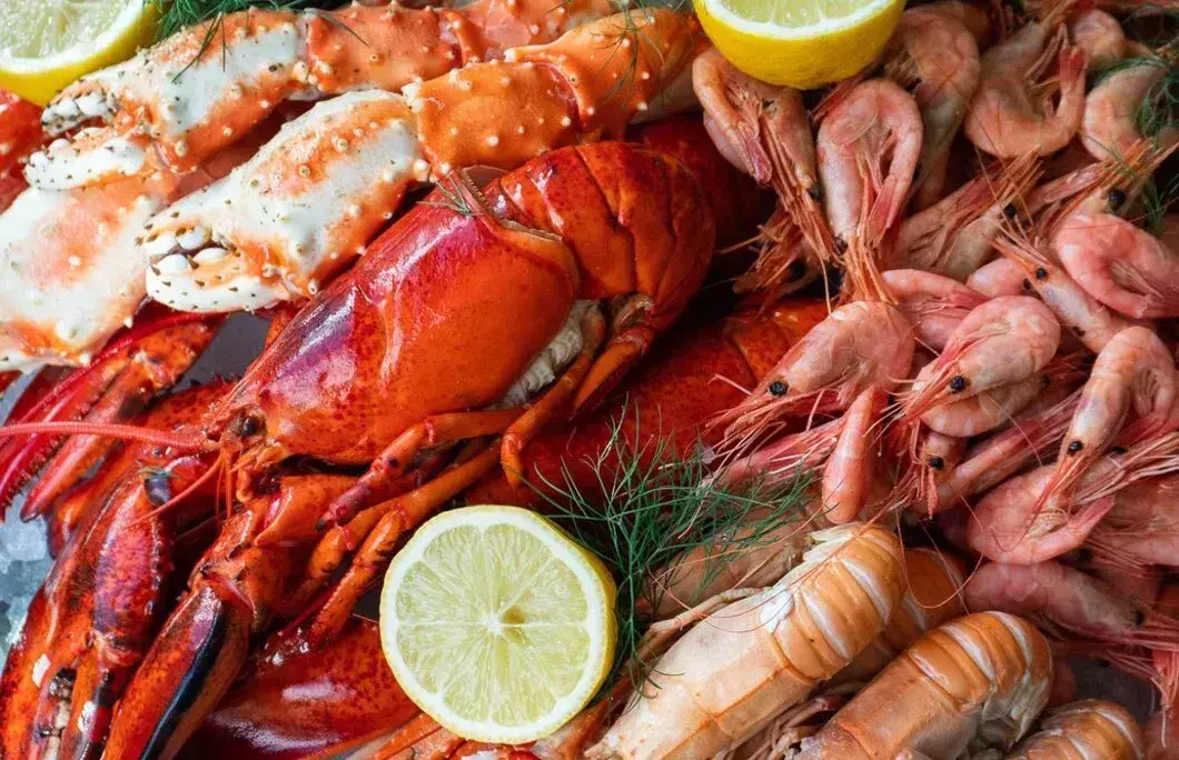 The 7 Best Seafood Restaurants In Stockholm | Enjoy Travel