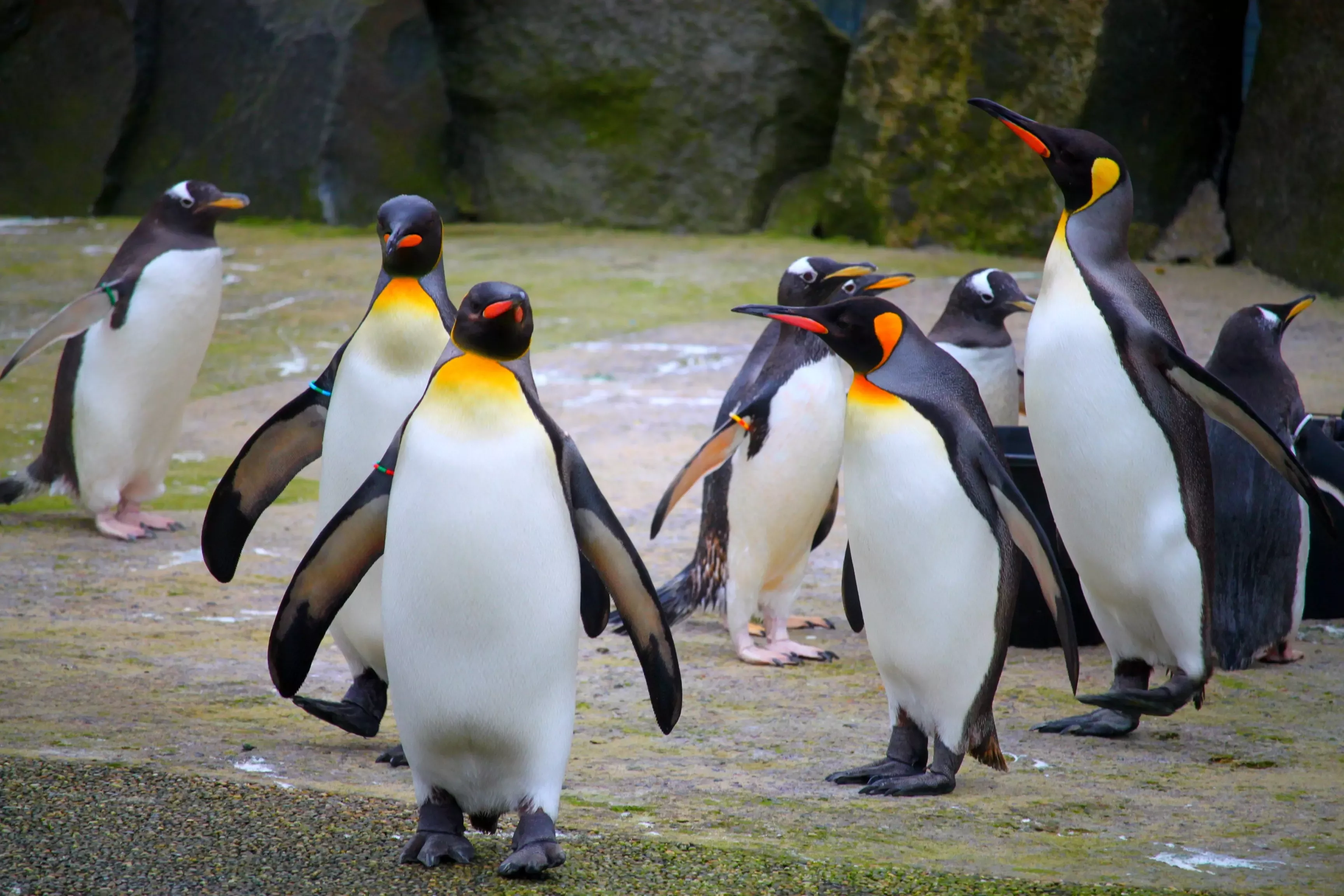 7 Things You'll Love Doing in Edinburgh This Winter | Enjoy Travel