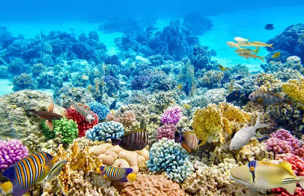 7 Interesting Facts About Solomon Islands | Enjoy Travel