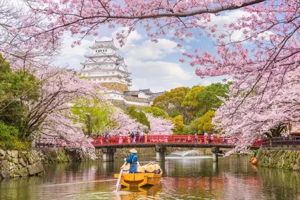 What to Know About Japan's Iconic Cherry Blossom Festival | Enjoy Travel