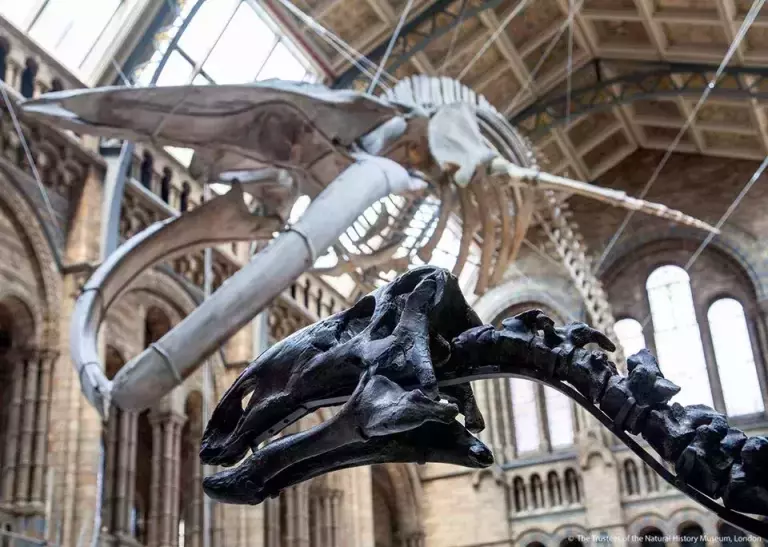 7 Virtual Museum Tours Across The Globe | Enjoy Travel