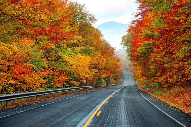 The 7 Best Fall Foliage Drives In New England | Enjoy Travel