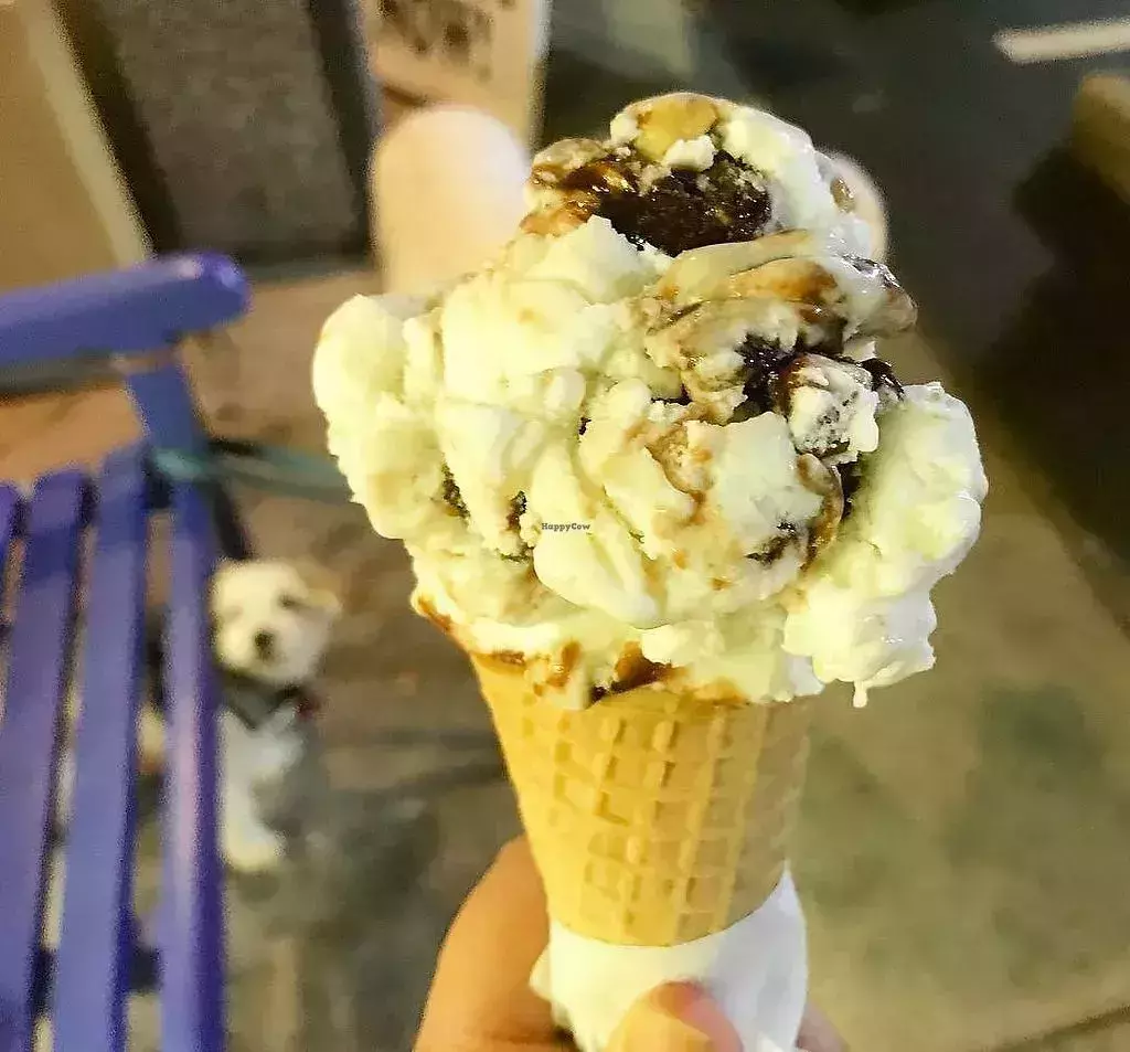 The 20 Best Ice Cream Parlours In Florida | Enjoy Travel