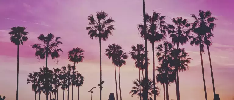 7 Miami Slang Words To Sound Like A Local | Enjoy Travel