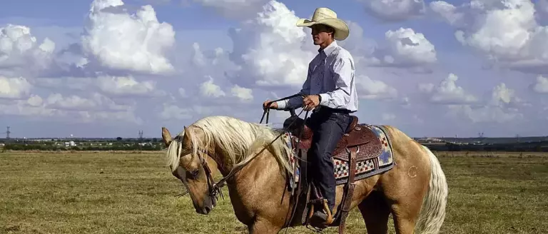 10 Texas Slang Words To Sound Like A Local | Enjoy Travel