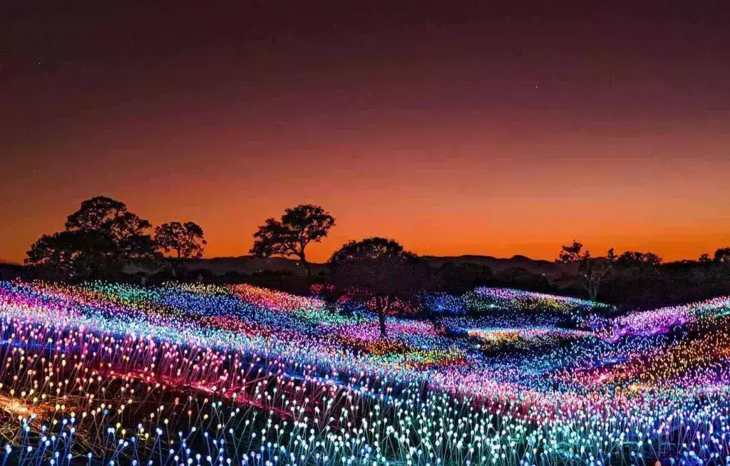 California's 'Field Of Light' Is An Instant Instagram Success | Enjoy ...