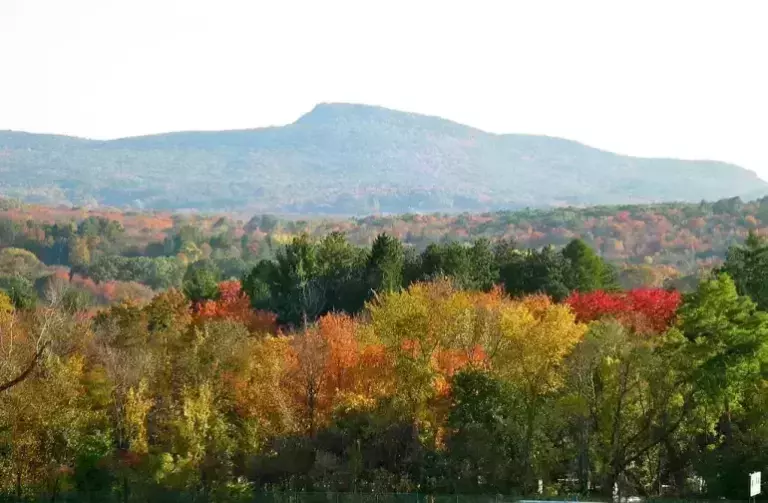 The Best National Parks in Connecticut | Enjoy Travel