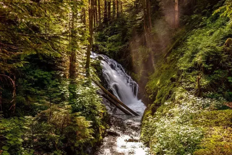 Here Are 7 US National Parks To Virtually Explore In Self Isolation ...