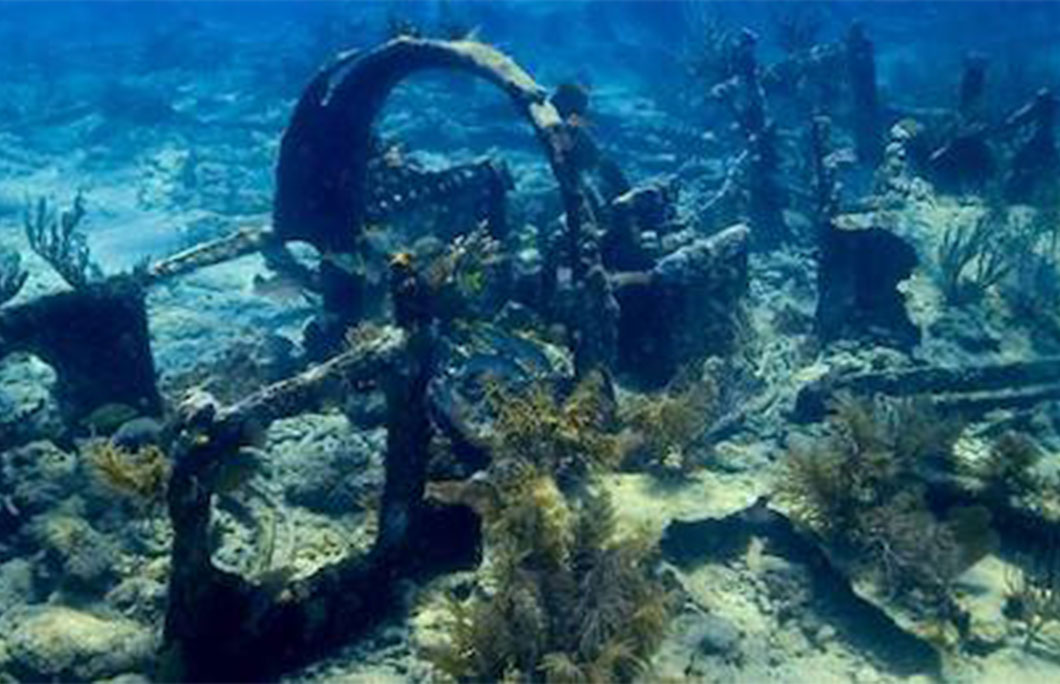 Best Places for Snorkelling in Key Largo | Enjoy Travel