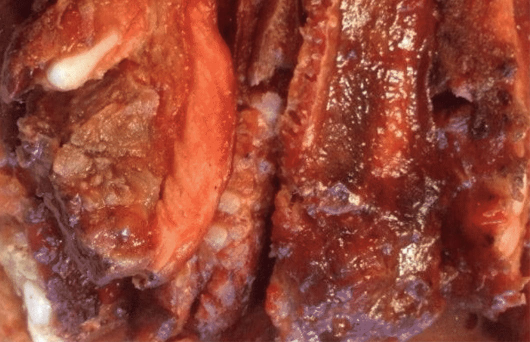 Best Places For BBQ In America | Enjoy Travel