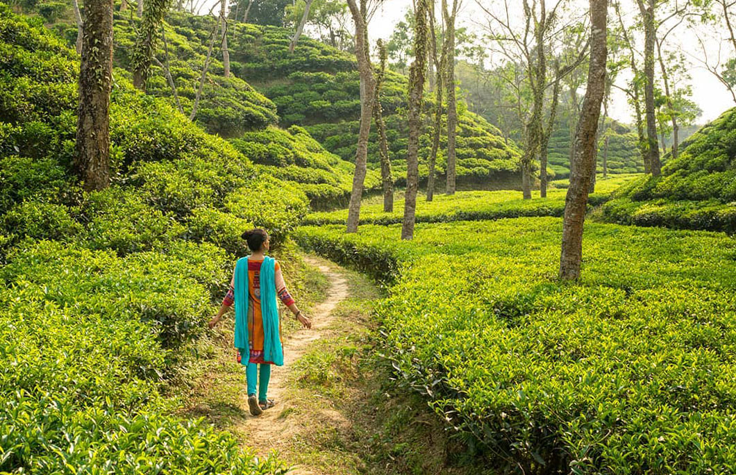 Most Instagrammable Spots In Bangladesh | EnjoyTravel.com