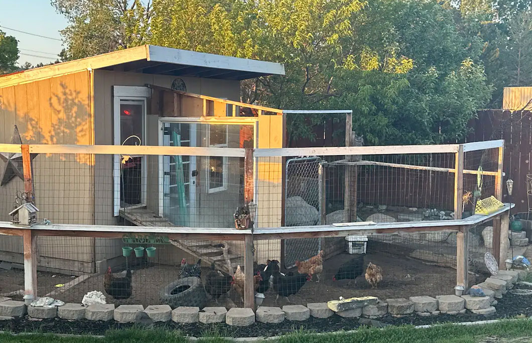 Unique Airbnbs For An Unforgettable Nevada Staycation | Enjoy Travel